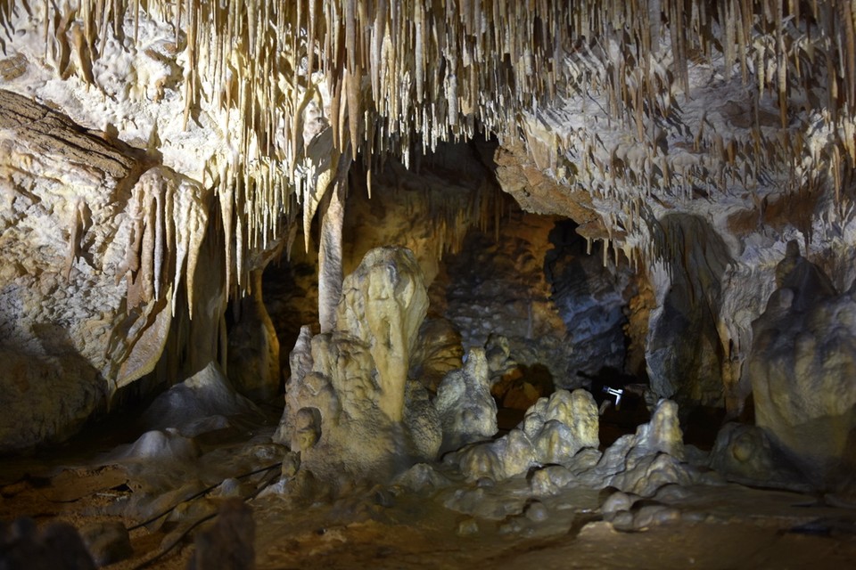 Jaskinia Raj w Górach Świętokrzyskich, jedna z najpiękniejszych w ...