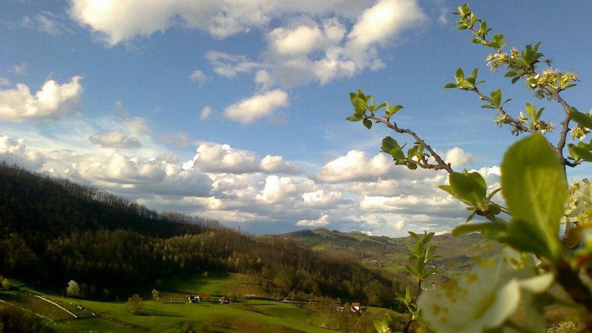 Podelite sa Blicom vaše najlepše slike proleća! - Blic