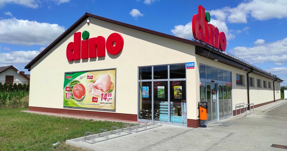 Tajemniczy miliarder rozwija kolejny biznes. Jak inwestuje właściciel Dino?