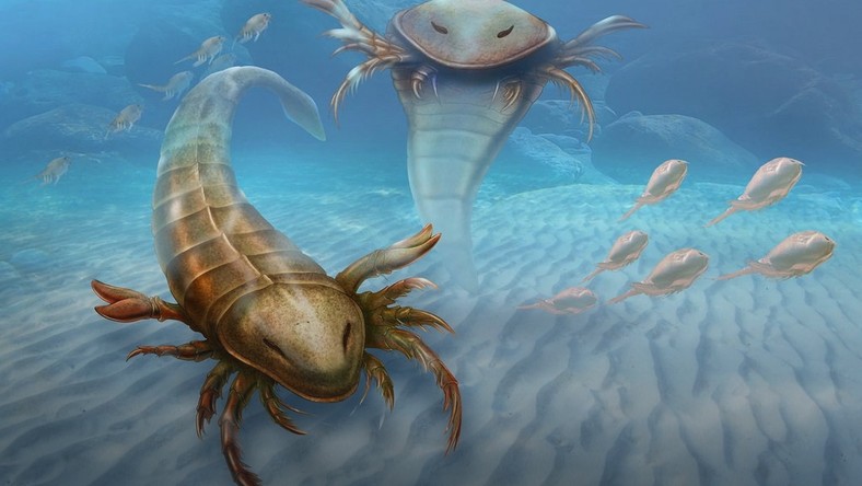 Zobaczcie, jak wyglądał morski "potwór" sprzed pół miliarda lat ...