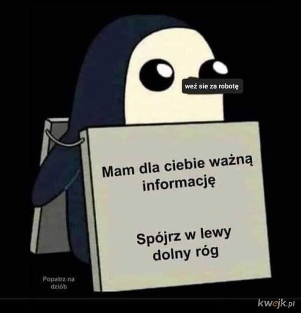 Dopiero wtorek, a już czekasz na weekend? Te memy poprawią ci humor ...