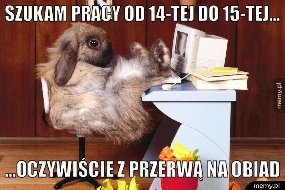 Najlepsze memy o pracy w korporacji. Popłaczecie się ze śmiechu - Kobieta