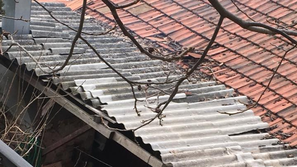 Vo na ražnju na Vračaru, scena je koja neke Vračarce nije iznanadila ...