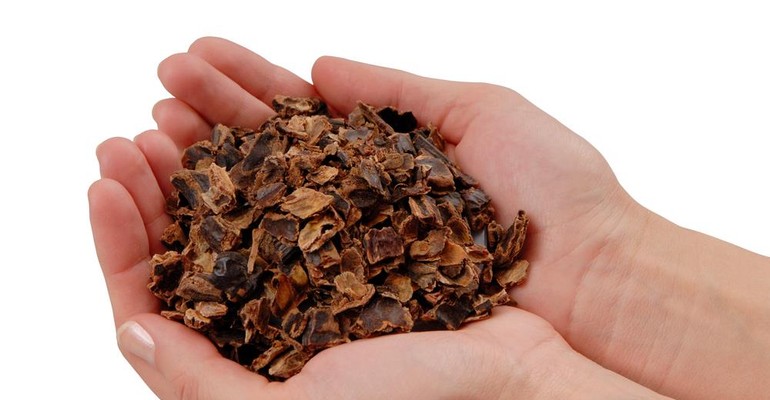 Karob- co to za substancja? Do czego można jej używać? Jakie ma ...