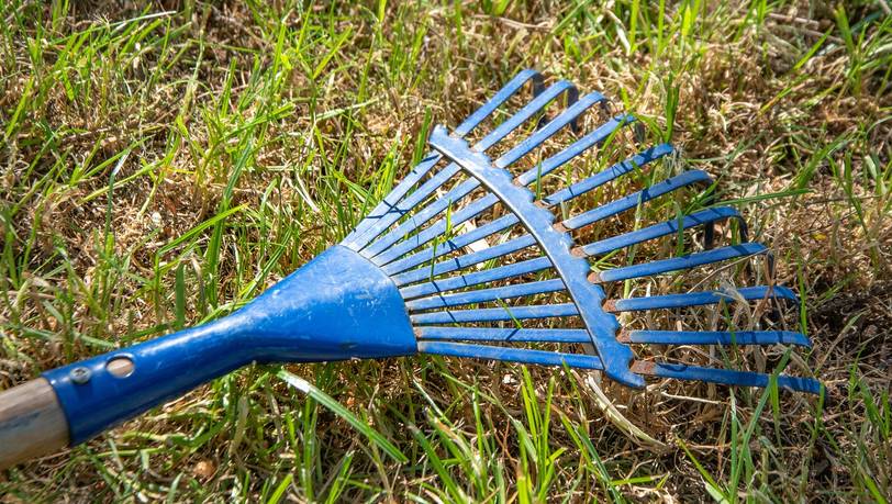 Die beliebtesten Rechen im Vergleich - guenstiger.de Kaufberatung und ...