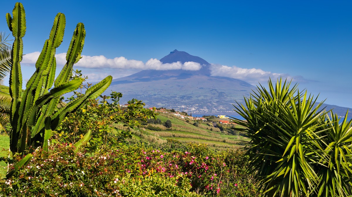 Tompa imre borajánlója: Azori anziksz - a béke szigetei - Blikk