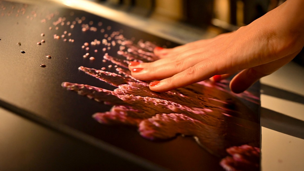 Izložba fotografija "Nevidljivi svet" u Narodnom muzeju Srbije - Blic