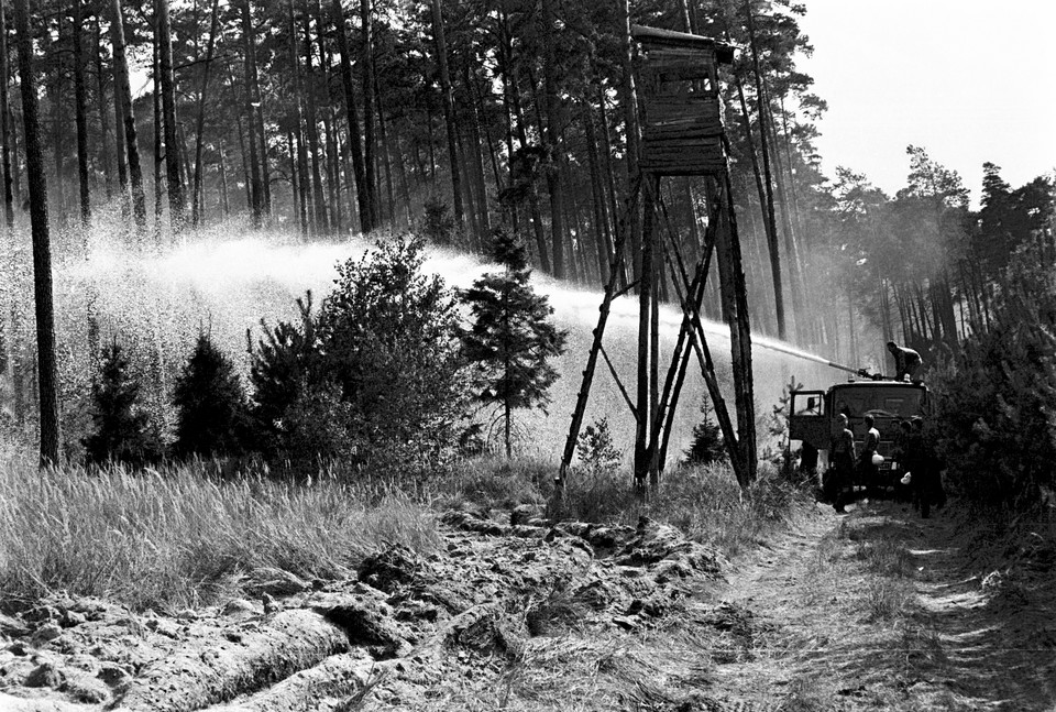 30. rocznica wielkiego pożaru lasu w Kuźni Raciborskiej [ZDJĘCIA] - Podróże