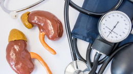 Nadnercza - charakterystyka, budowa, funkcje i choroby [WYJAŚNIAMY]