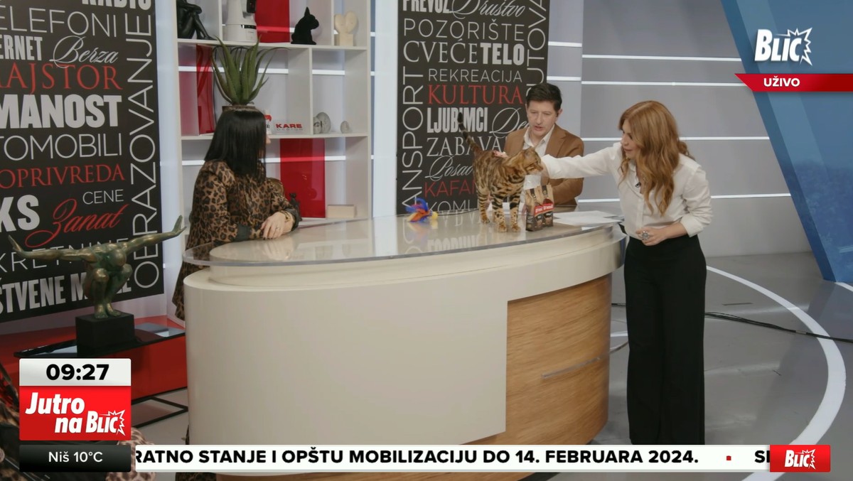 Mia Milojević o jubilarnom Mrnjau Fest-u koji se održava za vikend u ...