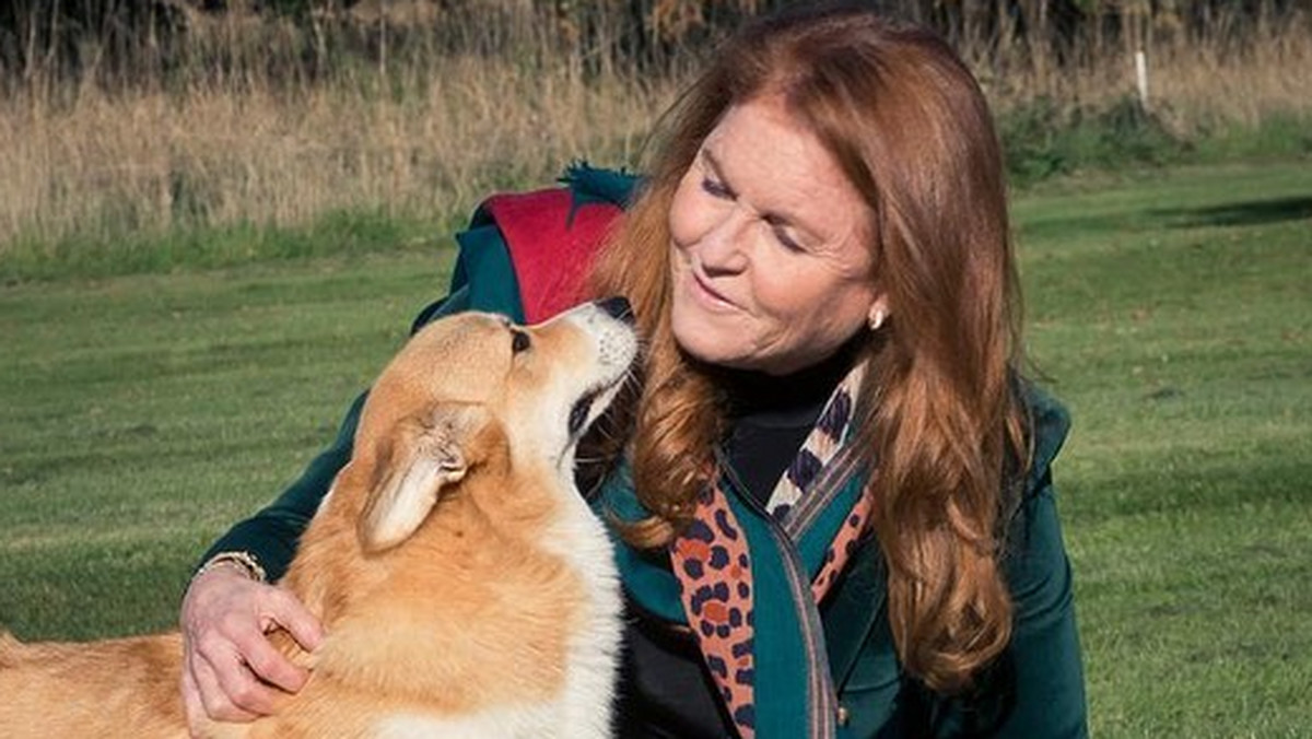 Co się dzieje z psami królowej? Sarah Ferguson pokazała poruszające ...