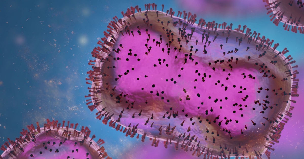 Małpia ospa we Wrocławiu. Potwierdzono pierwszy przypadek - Dziennik.pl