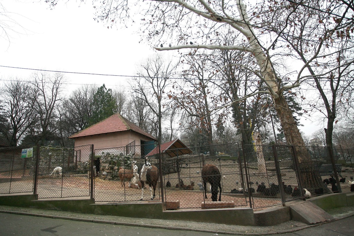 Beogradski Zoo vrt od septembra javno preduzeće
