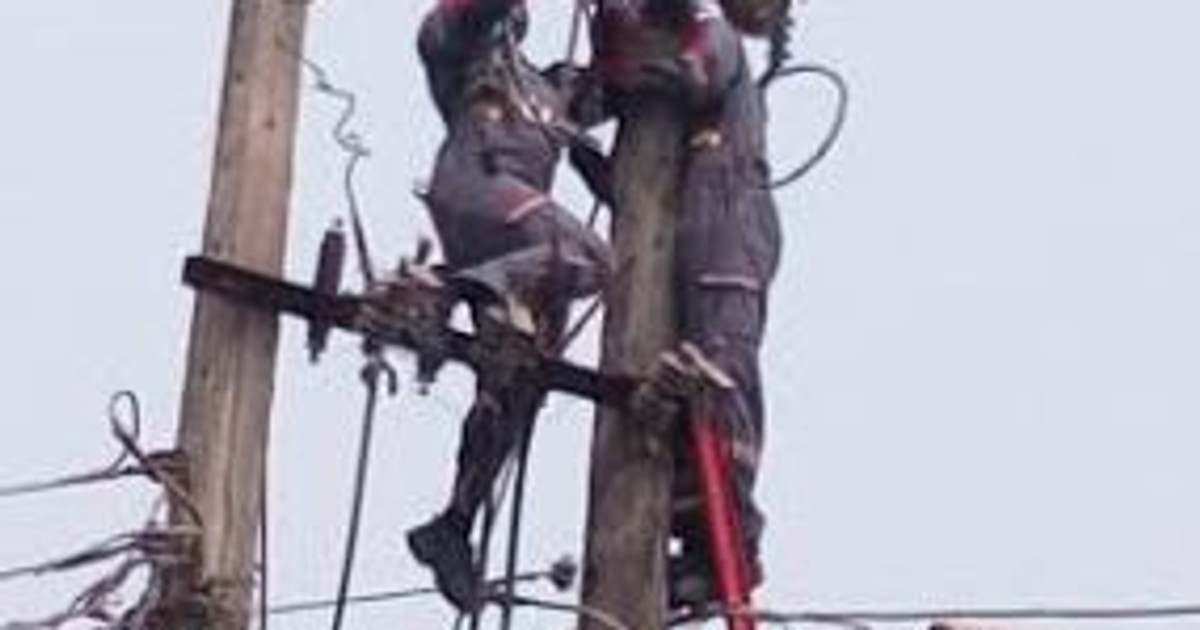 Just Reward Man electrocuted while vandalizing electric transformer ...