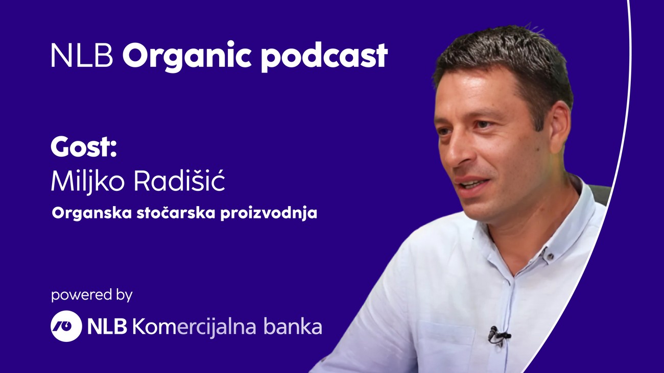 Kod Miljka krave same biraju hranu, a jaja će stići iz jajomata ...