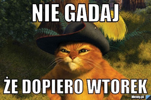 Dopiero wtorek, a już czekasz na weekend? Te memy poprawią ci humor ...