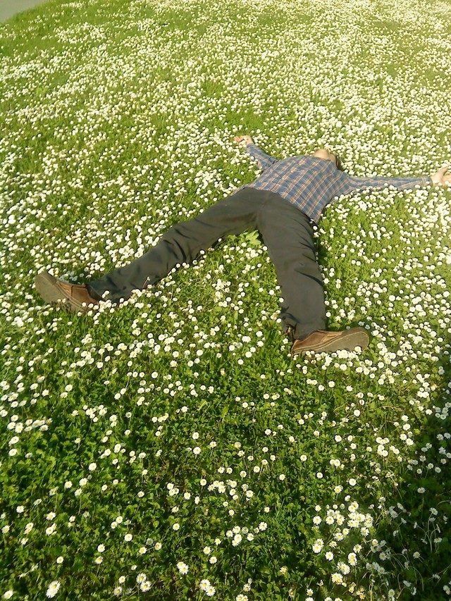 Srbija cveta: Neverovatne slike proleća koje su nam poslali čitaoci od ...