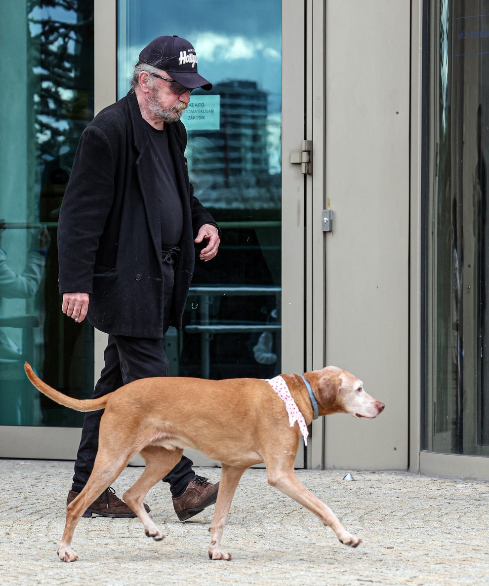 Csikos Sándor lett a Nemzet Színésze - Blikk