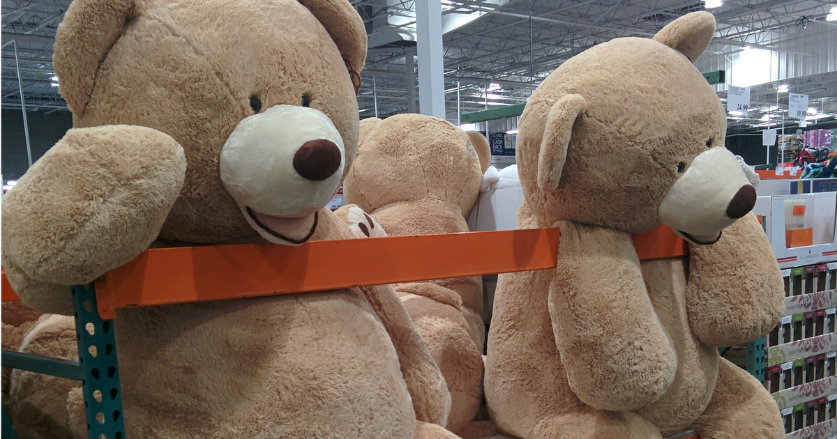 6 comically large items you can buy at Costco (COST) | Business Insider ...