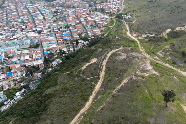 "Drzewo wisielca" w stolicy Kolumbii i jego mroczna legenda - Podróże