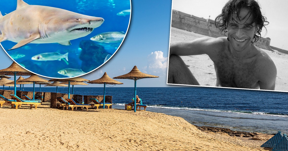 Atak rekina w ulubionym kurorcie Polaków. Nie żyje unijny dyplomata