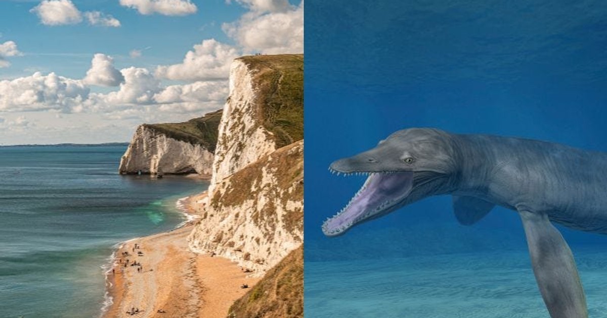 Massive skull of prehistoric sea monster that was the 'ultimate killing ...