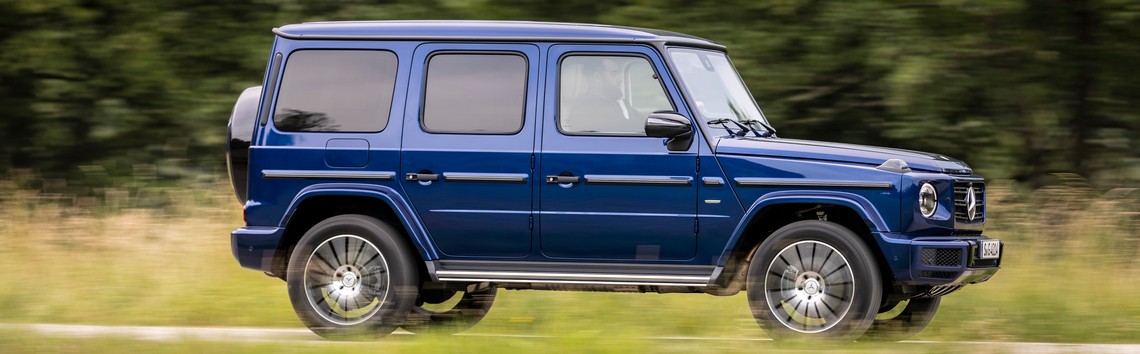 MERCEDES-BENZ G G 300 461/463 L Professional - dane, testy, opinie ...