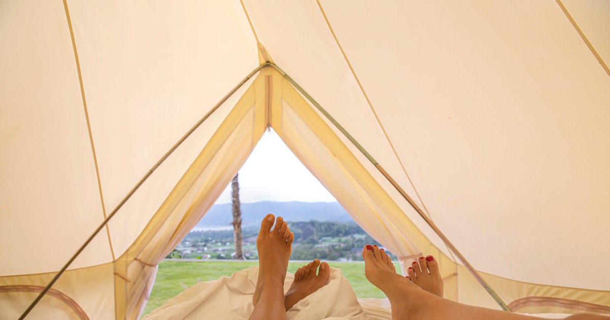 Luxury glamping site offering 'utter peace and tranquillity' ordered to ...