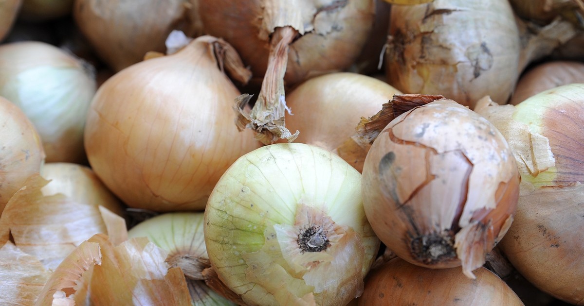 Ceny cebuli - 2018 r.