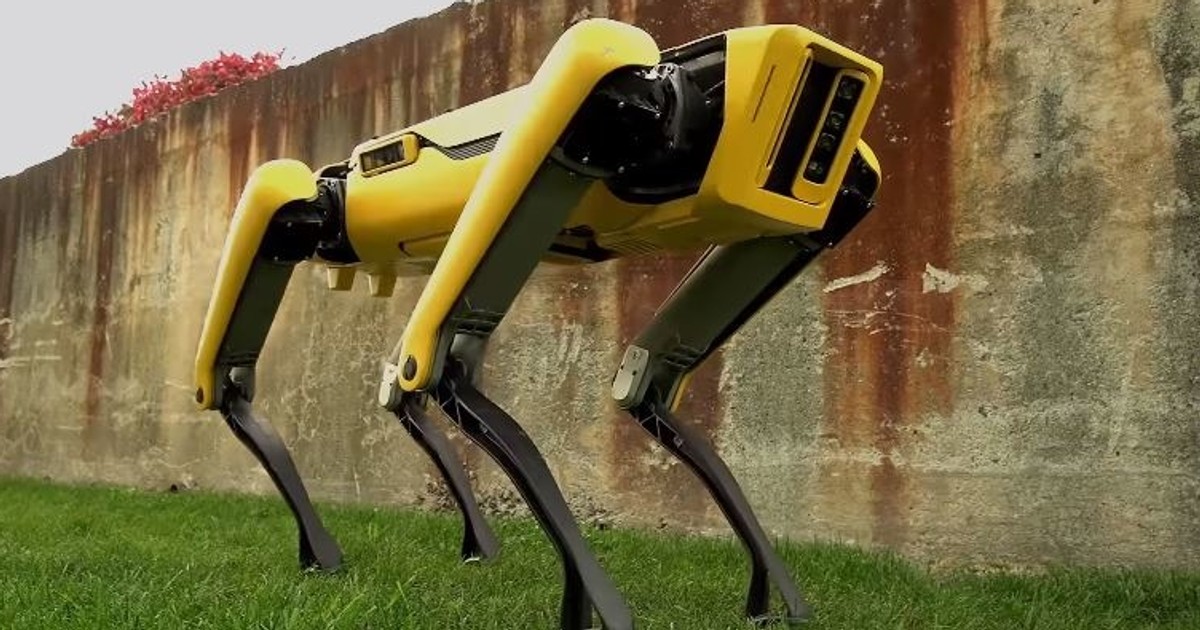 Oddziały specjalne policji testowo na akcji z psem-robotem ...