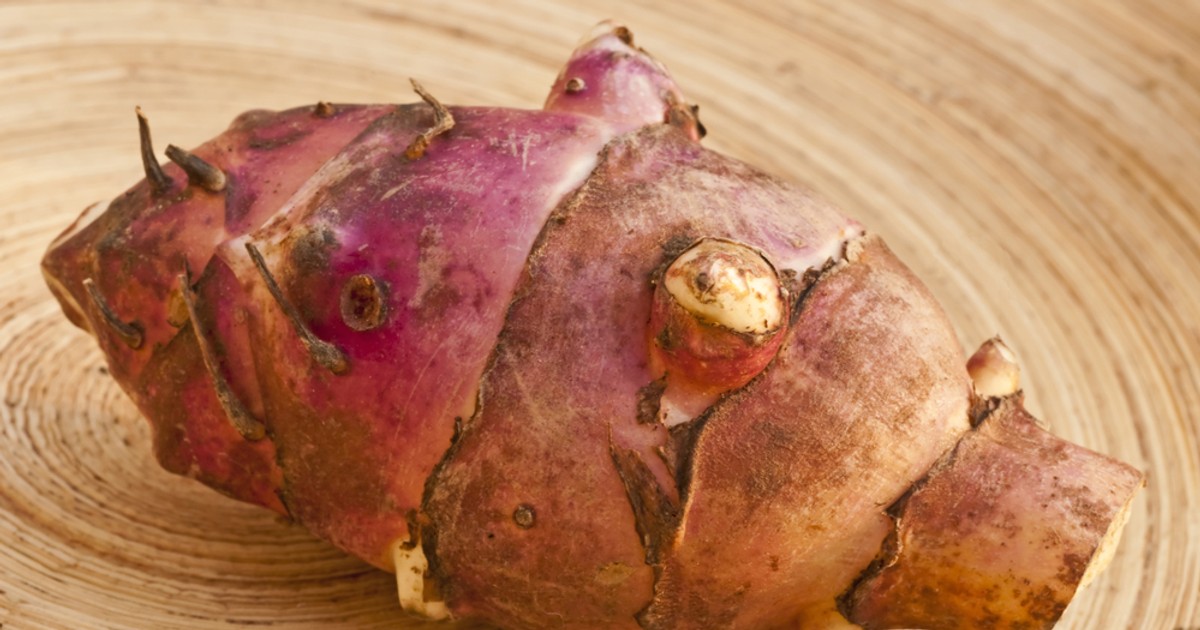 Inulina - zastosowanie, właściwości i działanie. Co to jest? - Zdrowie