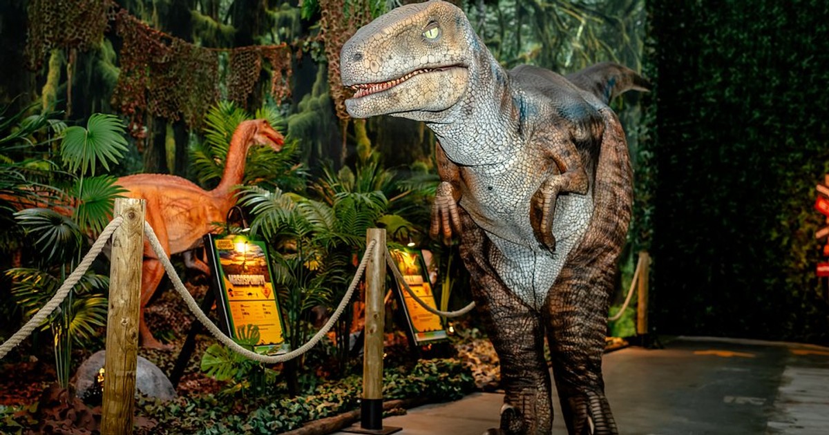 Wystawa tematyczna Jurassic Adventure już w Muzeum Nowa Praga - Podróże
