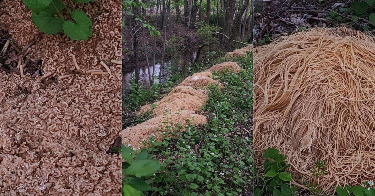 '15 wheelbarrows loads' of pasta were mysteriously dumped in a New ...