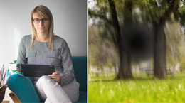 Plamy opadowe - czym są i gdzie najczęściej się lokalizują plamy ...