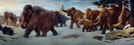 Mamuti su umrli od ŽEĐI