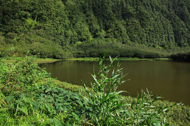Reunion - wyspa pięknych plaż i gór - Podróże
