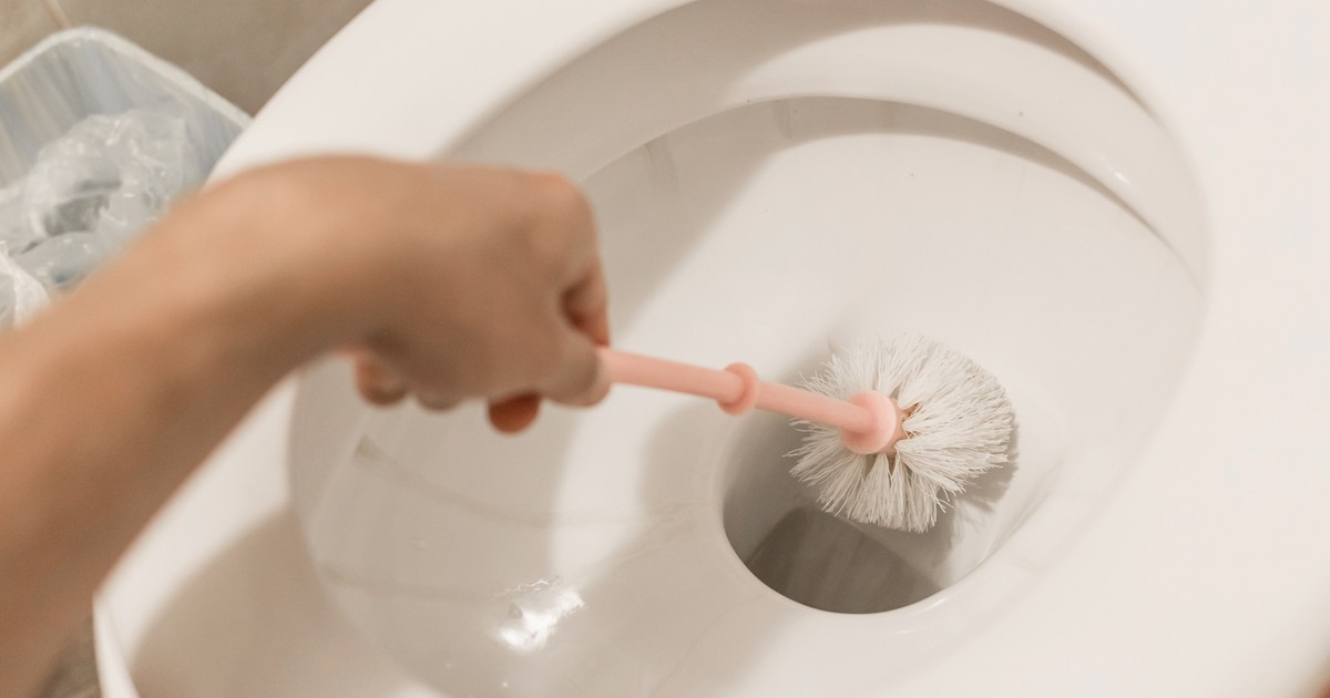 A szakértő ordítja: így kell tisztán tartani a WC-kefét és ilyenkor ...