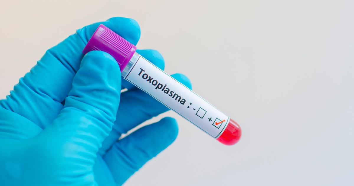 Toksoplazmoza: co to, objawy, źródło zakażeń, leczenie, ciąża - Kobieta