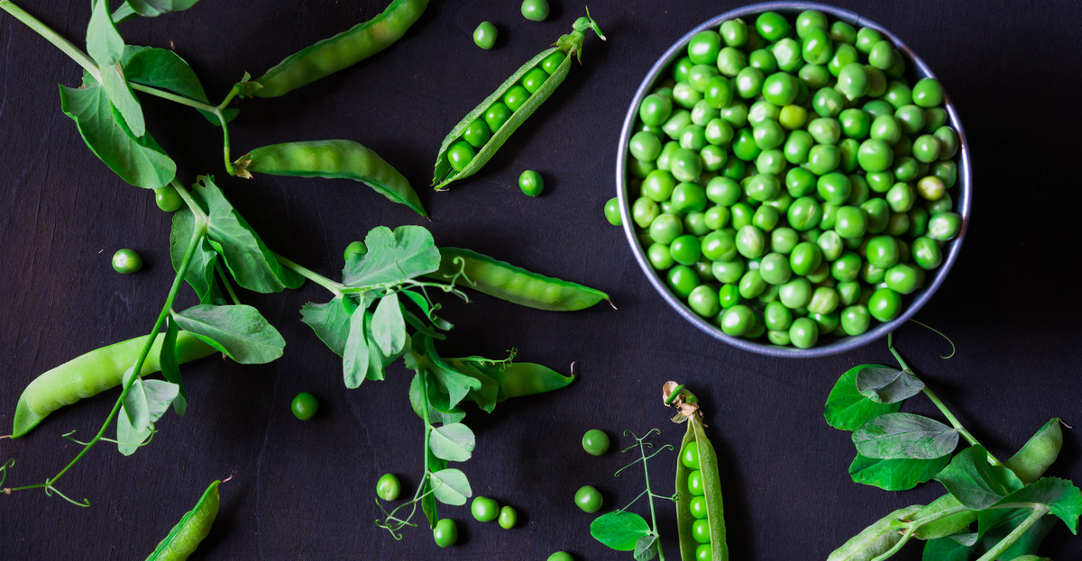 Groch - wartości odżywcze, zawartość białka, kaloryczność, zastosowanie