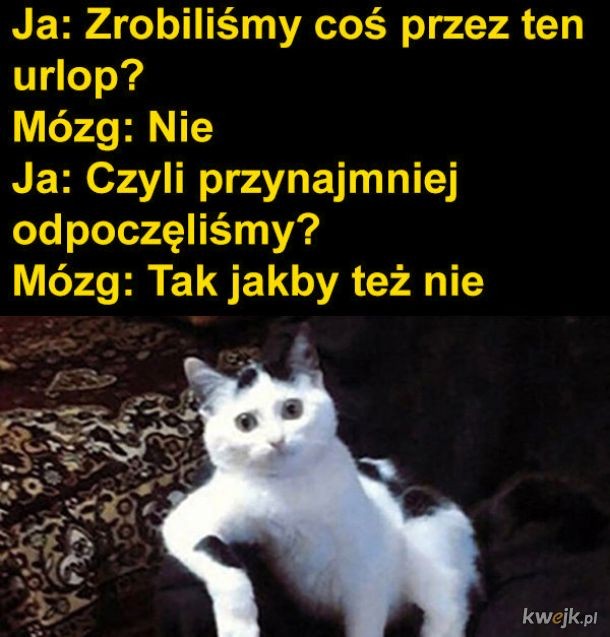 Najlepsze memy o urlopie. Rozbawią cię do łez! - Kobieta