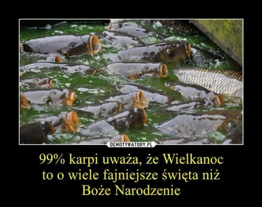 Wielkanoc na wesoło. Najśmieszniejsze świąteczne memy z internetu - Kobieta