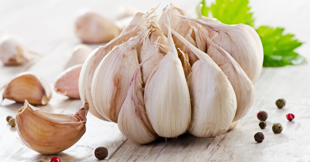 Czosnek - właściwości i działanie, jak pozbyć się zapachu czosnku ...