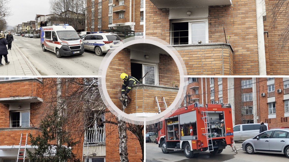 SAMO JEDNO DETE JE ŽIVO STIGLO U BOLNICU Novi detalji tragedije u Novom ...