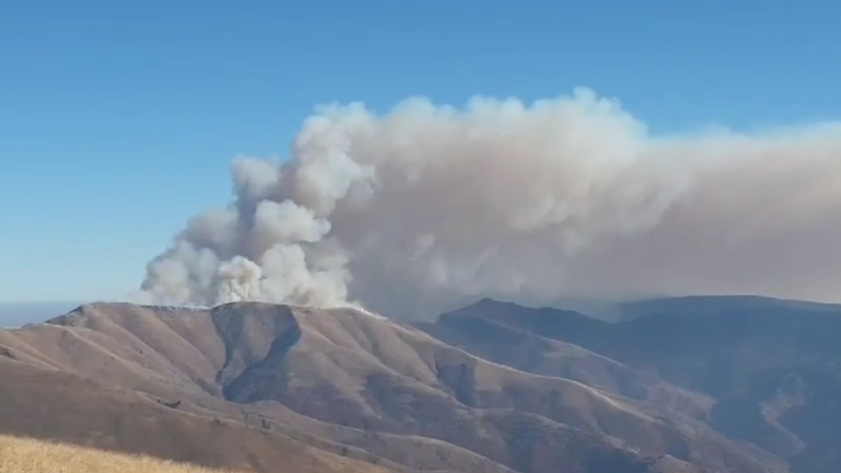 BUKTI POŽAR NA STAROJ PLANINI Vatra sa bugarske strane prešla u Srbiju (VIDEO) - Blic