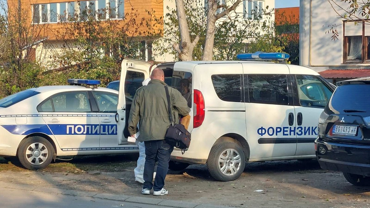 Ubistvo u Novom Sadu: Sin koji je majci odsekao glavu uzvikivao jezive stvari - Blic