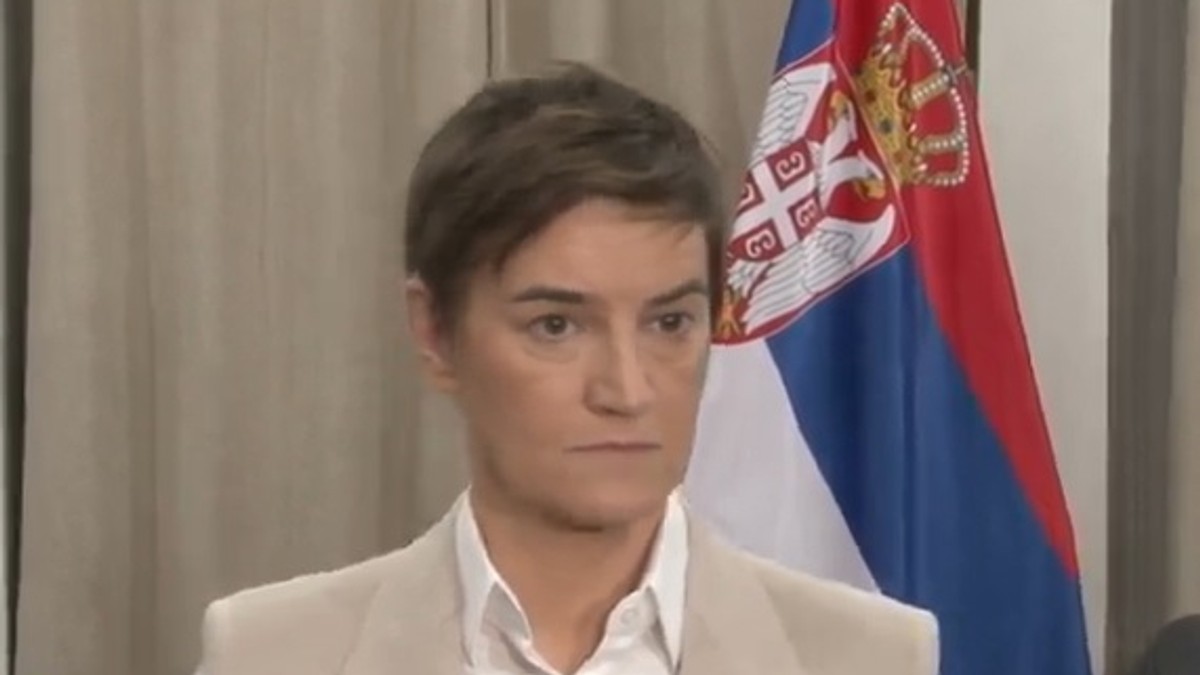 Brnabić: U decembru se bira da li će Srbija stati ili će ići napred - Blic