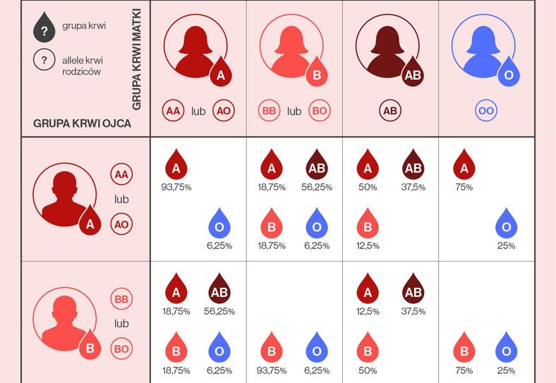 10 najlepszych infografik 2018 roku - Wiadomości