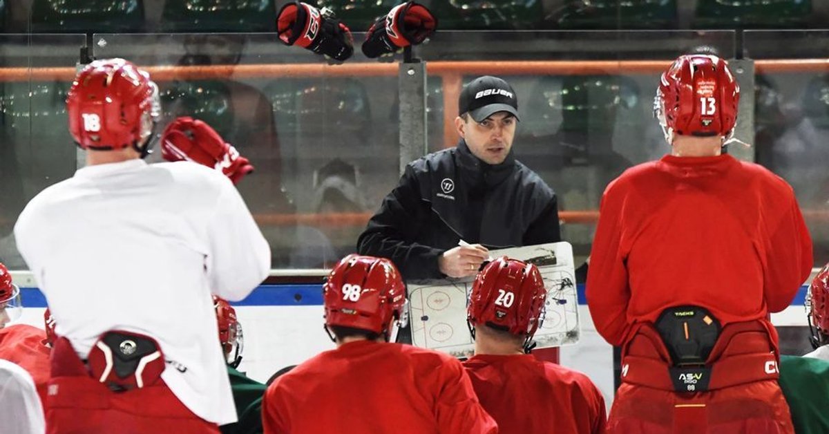 Sarnik: Cały nasz wysiłek zepsuł sędzia - Sport
