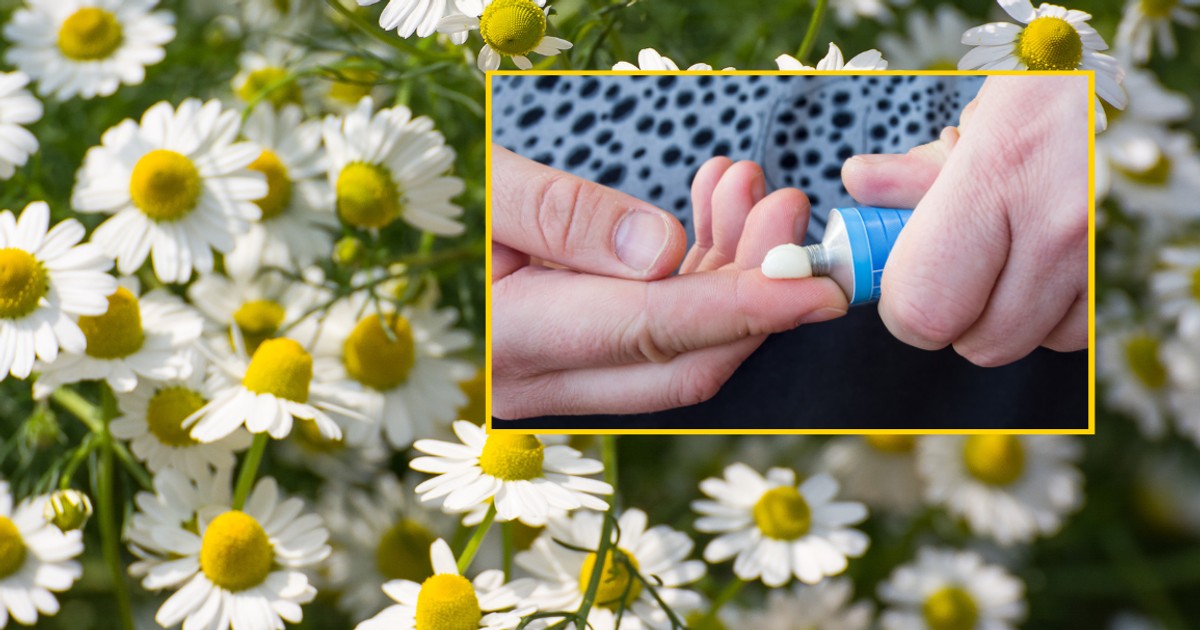 Ta maść działa jak plasterek na podrażnienia. Koi i łagodzi