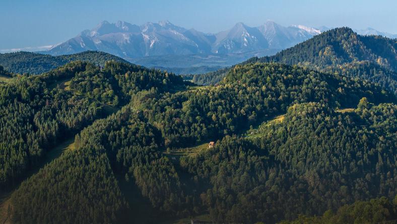 Palenica - miejsce stworzone na rodzinne wypady - Podróże